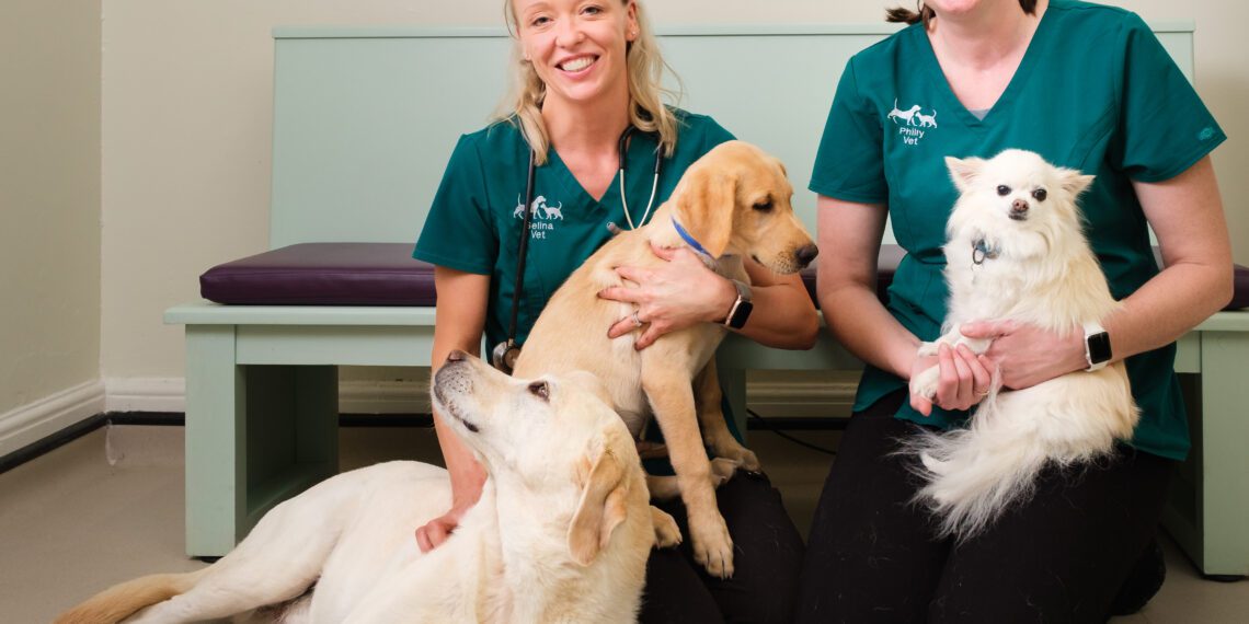 Local veterinary practice gains top accreditation - Melksham ...