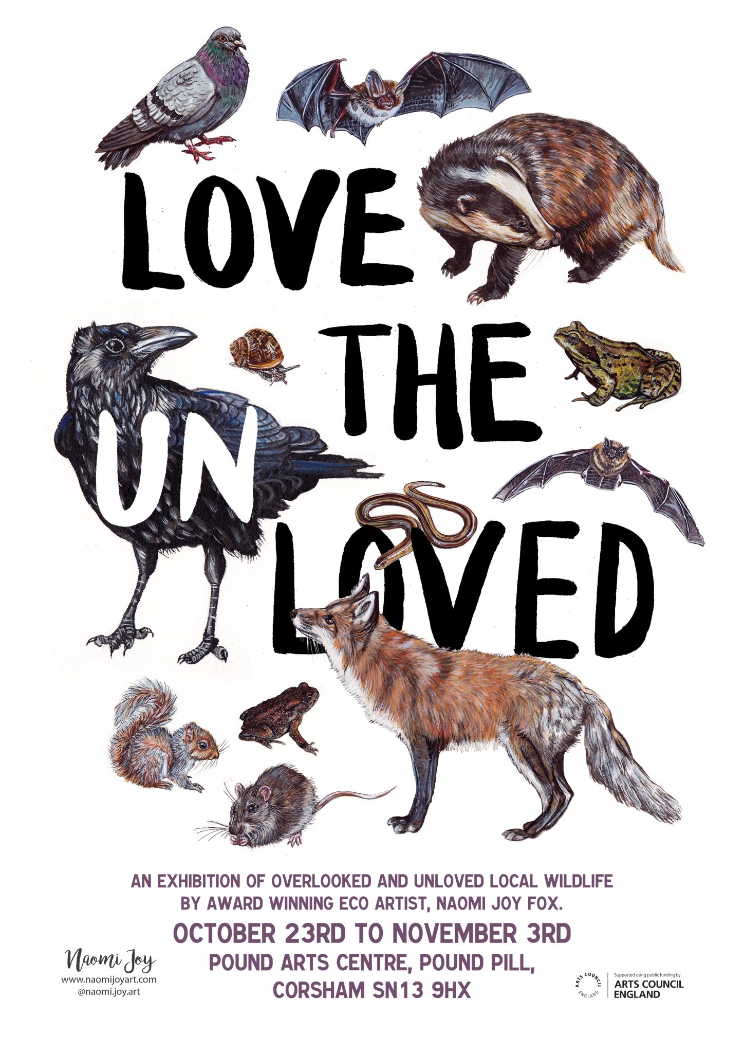 Artist shares beauty of ‘unloved’ creatures in new exhibition ...